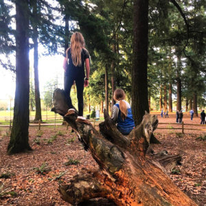 Flying Squads 2020 – Flying Squads